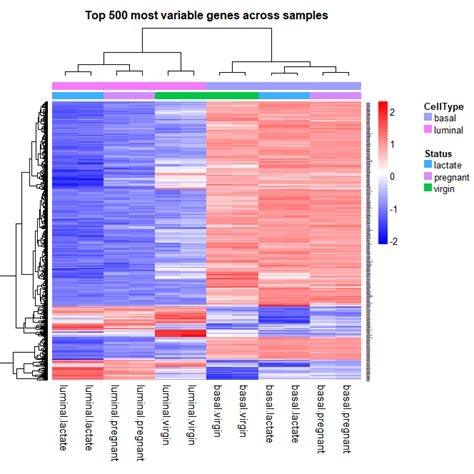 R遺伝子発現解析を学んでみたい③ いろいろ倉庫