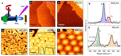 A Schematic Representation Of The Pld Setup Where Targets Are Download Scientific Diagram