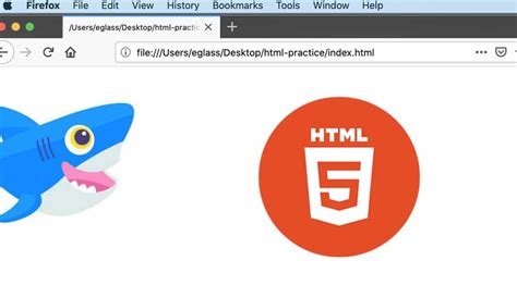How To Add Images In Webpage Using HTML
