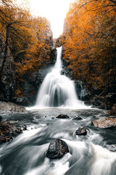 가을 가을 기분 가을 낙엽 가을 배경 가을 벽지 가을 분위기 숲 가을 색 가을 숲 가을 시즌 가을 잎 색 가을 장면 가을 장식 가을 크 로커 스