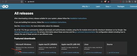 Cara Mudah Install Golang Go Di Semua Sistem Operasi Idcloudhost