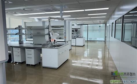 실험실 입주청소