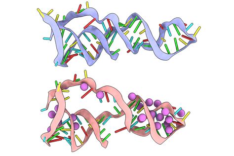 rna modeling fast track from sequence to structure in 2025 franetic