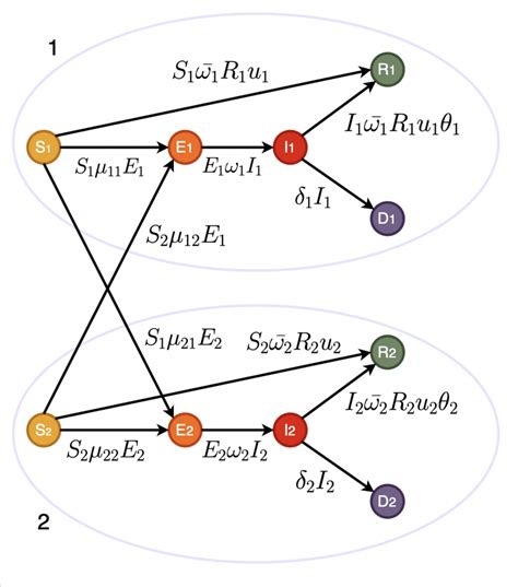 State Transitions Of Two Types Download Scientific Diagram