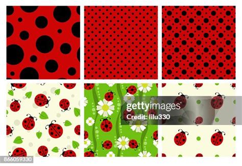 Ladybug Patterns Set High Res Vector Graphic Getty Images