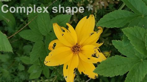 Renat Gilmanov On Linkedin Digitaltwin Computervision Segmentation