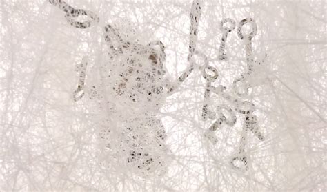 Frank Bertram Filmemacher Frank Bertram Filmemacher