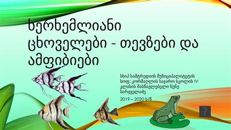 ხერხემლიანი ცხოველები თევზები და ამფიბიები