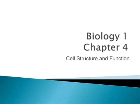 Ppt Cell Structure And Function Monomers Tools And Organelles
