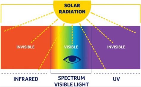 Mastering The UV Index Your Key To Smart Sun Exposure