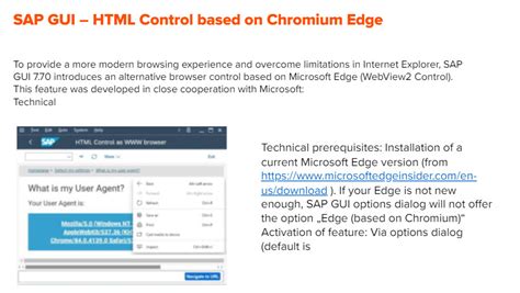 Sap Business Client With Integrated Fiori Launchpa Sap Community