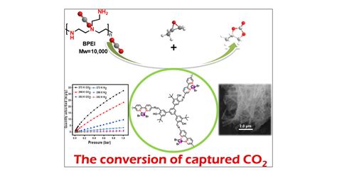 Metal Catalyst For Co2 Capture And Conversion Into Cyclic 53 Off