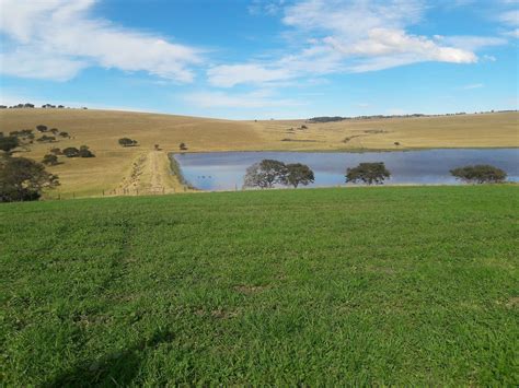 Russian Grass Seed Home Facebook