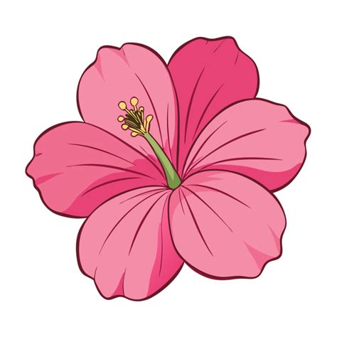 Pink Hibiscus Background