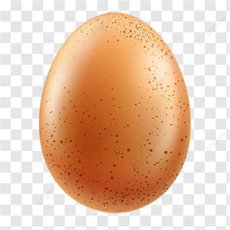 투명 배경에 고립 된 갈색 계란 닭 갈색 계란 Png 일러스트 및 이미지 에 대한 무료 다운로드 Pngtree