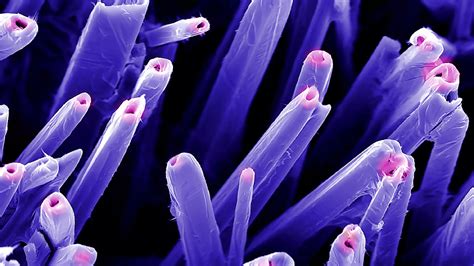 Frontiers In Catalysis