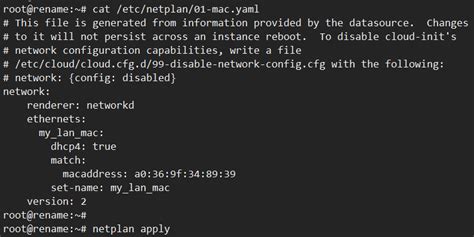 Linux Network Naming Schemes Lenovo Press