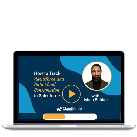 Tracking Salesforce Agentforce And Data Cloud Usage With Consumption Cards Cloudkettle