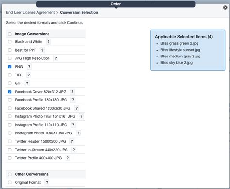 What Are Conversion Formats