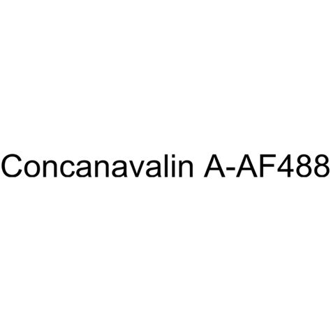 Concanavalin A Af488 Con A Af488 Plant Lectin Medchemexpress