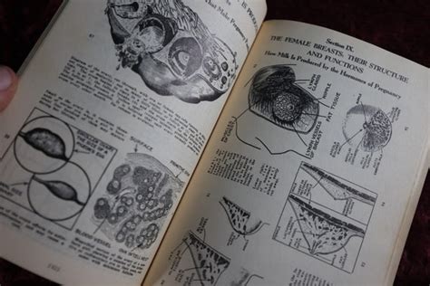 Lot 145 Picture Stories Of The Sex Life Of Man And Woman Vintage Pam