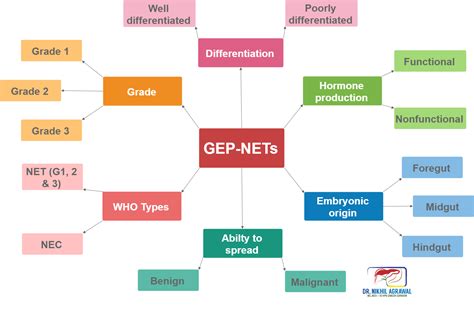 Gastrointestinal Or Gastroenteropancreatic Neuroendocrine Neoplasms Tumours Dr Nikhil Agrawal