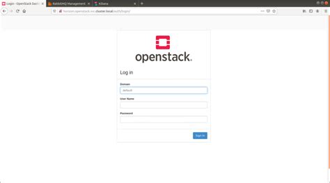 配置指导OpenStack Helm部署 AIO模式 星融元Asterfusion