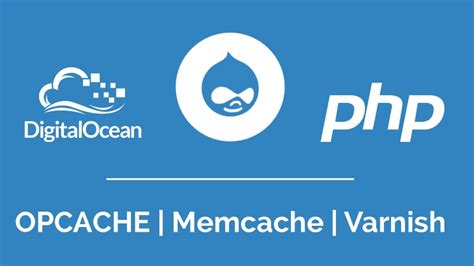 Tuning Drupal Performance On Digitalocean Levelten Dallas Tx