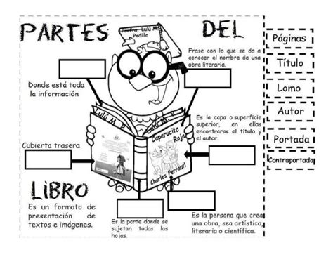 Partes Del Libro Pdf