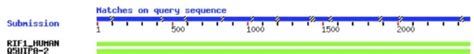 Have A Blast With Your Protein Sequences