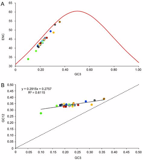 A Correlations Between The Effective Number Of Codons Enc And G C