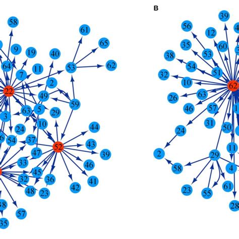 genetic regulatory networks are generated through genetic effects