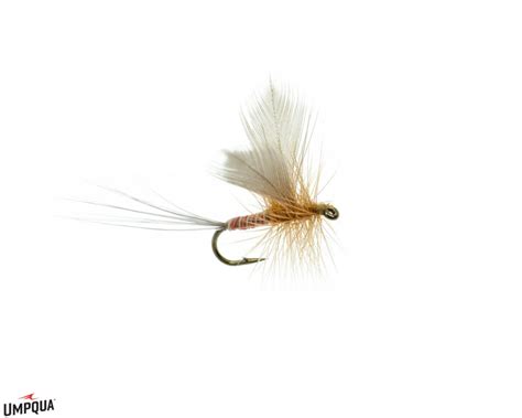 Frying Pan River Report Crystal Fly Shop