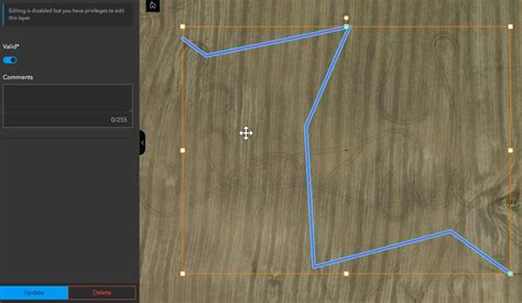 Feature Service Editing Capabilities Not Honored I Esri Community