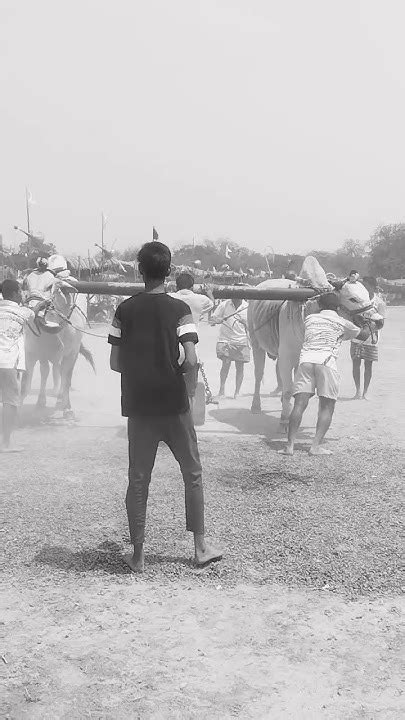 Boreddy Shorts Youtube