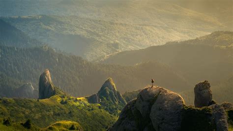 Of Monsters And Men ”your Bones” Lyrics Meaning