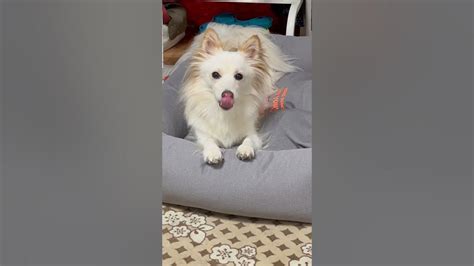 우리 대화해 Youtube