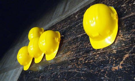 Learn Pest Control Sri Lanka Blog