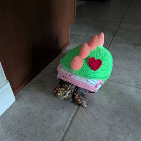 Tortoise Tuxedo For Turtle Suit For Tortoise Etsy