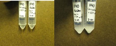 Figure 1 1 From The Synthesis And Characterization Of Novel Elastin Like Polypeptides Containing
