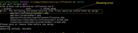 Error The Following Untracked Working Tree Files Would Be Overwritten