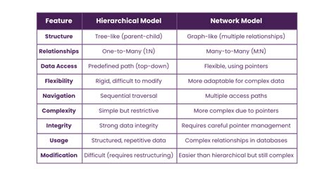 Network Database Definition Importance And Examples