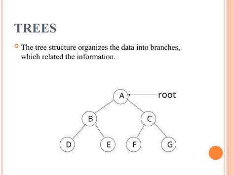 Different Types Of Data Structures Using Cppt