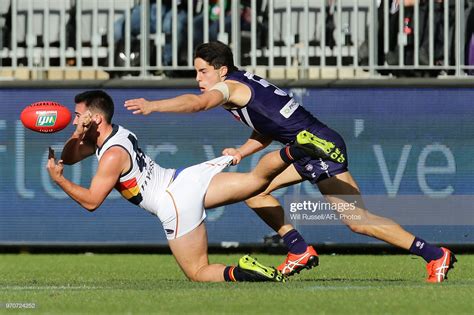 Afl And Nrl Players Page 110 Lpsg