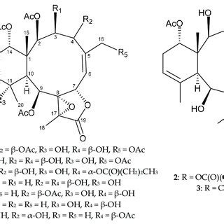 Structures Of Compounds 1 To 5 Download Scientific Diagram