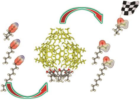 Homogeneous Catalyst Made To Act More Like An Enzyme Catalysis