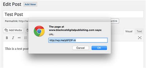 How To Create Custom Trackable Short URLs For All Your WordPress Posts And Pages Elegant