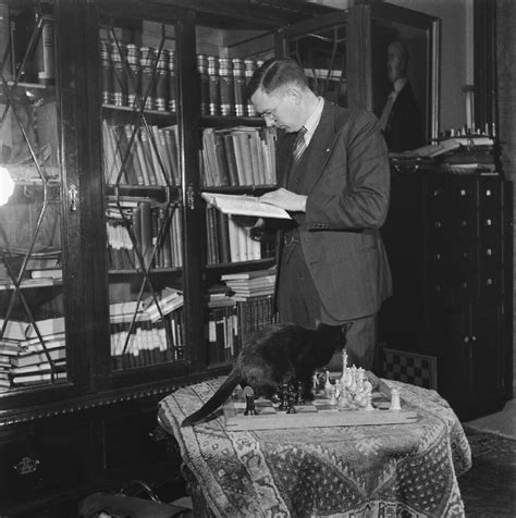 Het Bvd Dossier Van Max Euwe Eriks Gaap