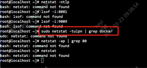 linux下面使用netstat相关的命令不可用该如何处理解决 勇敢 的心 博客园