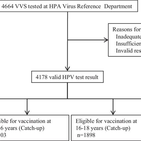 Flow Chart Of Specimen Collection And Testing And Immunisation